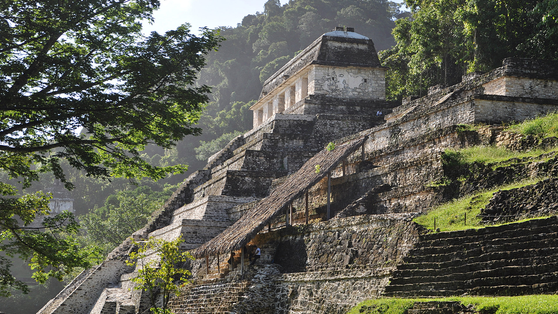 6 Days of Wonder: Exlusive Private Yucatan to Palenque Tour | Private ...